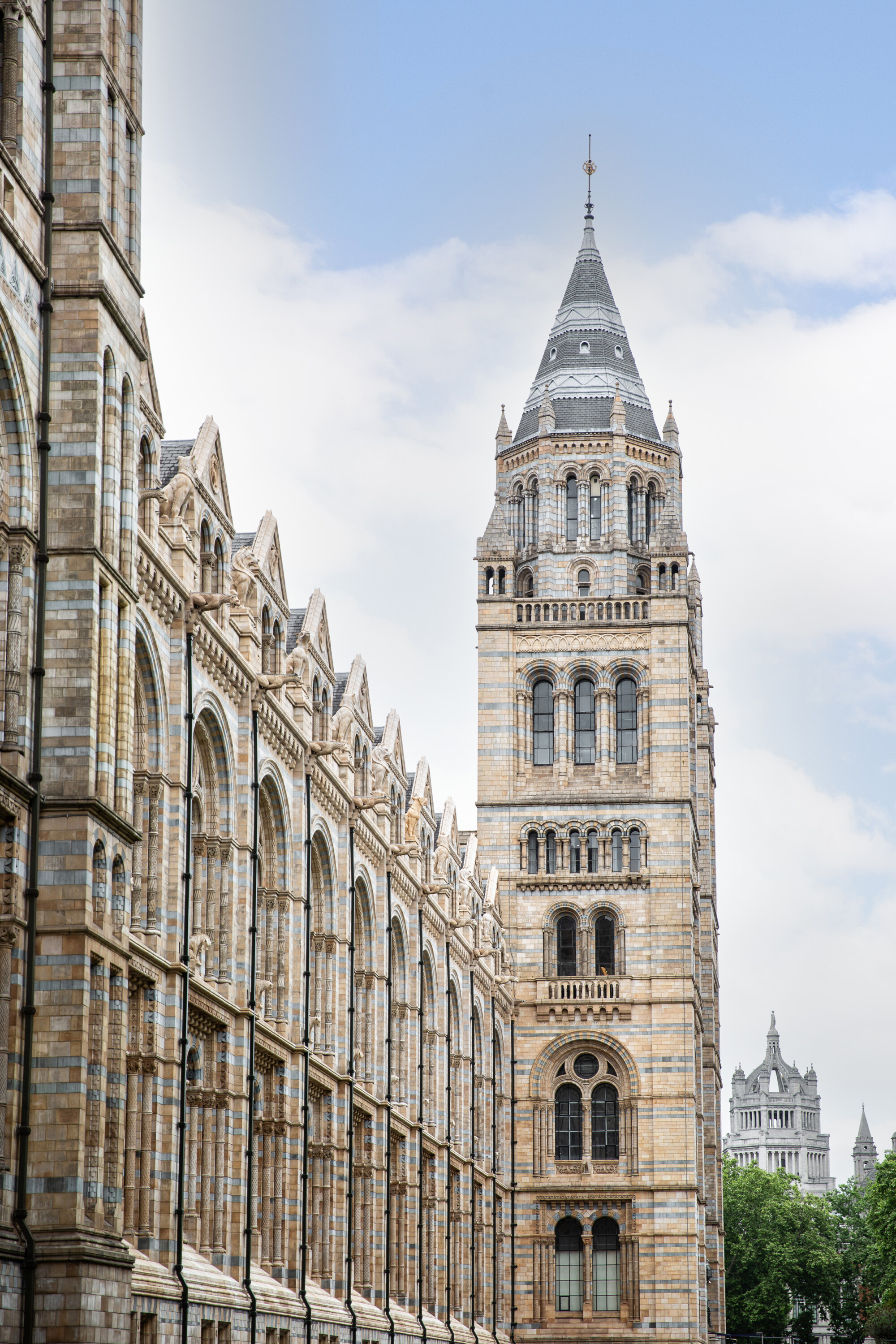 Natural History Museum Urban Nature Project